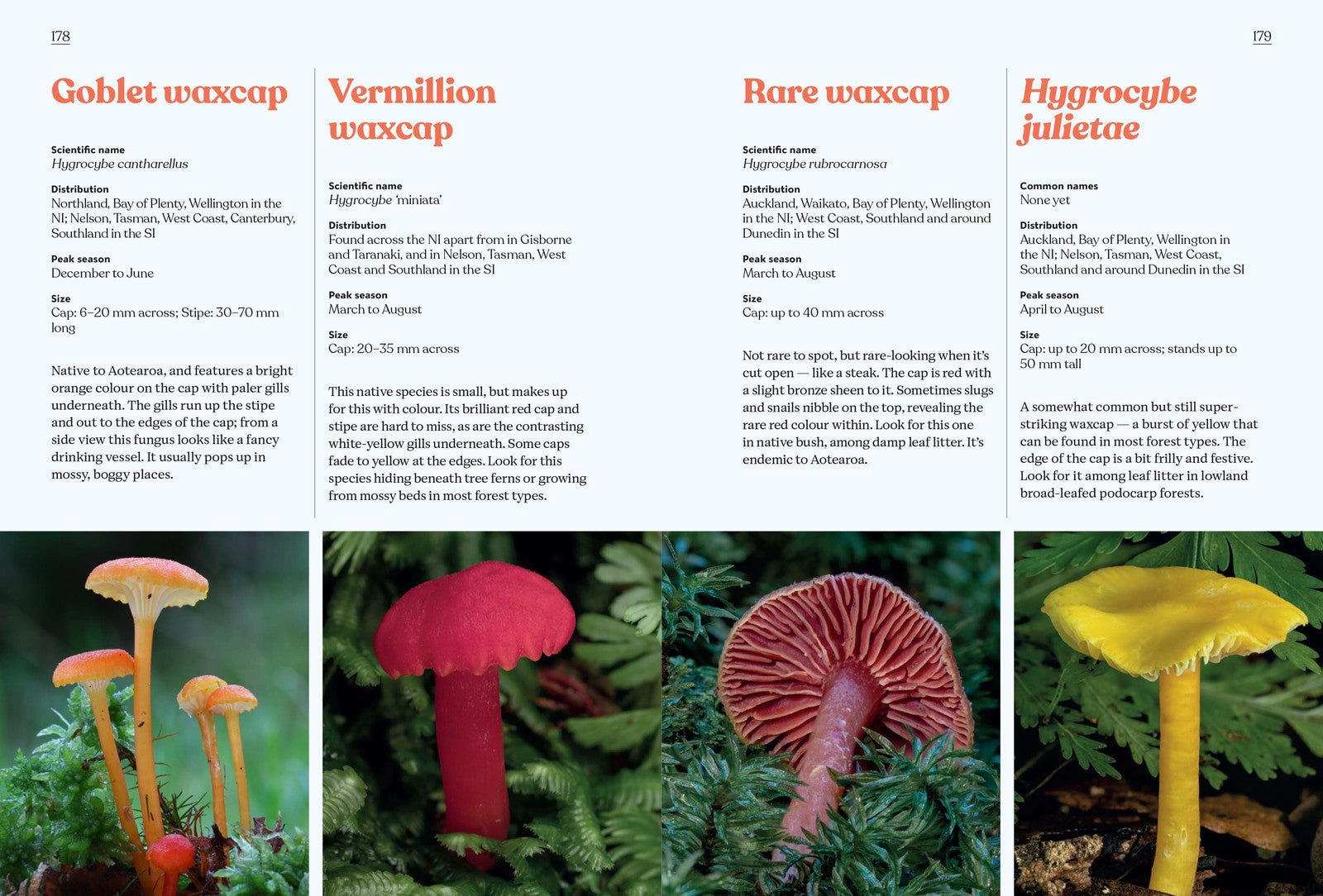 Fungi of Aotearoa Book – HAPA