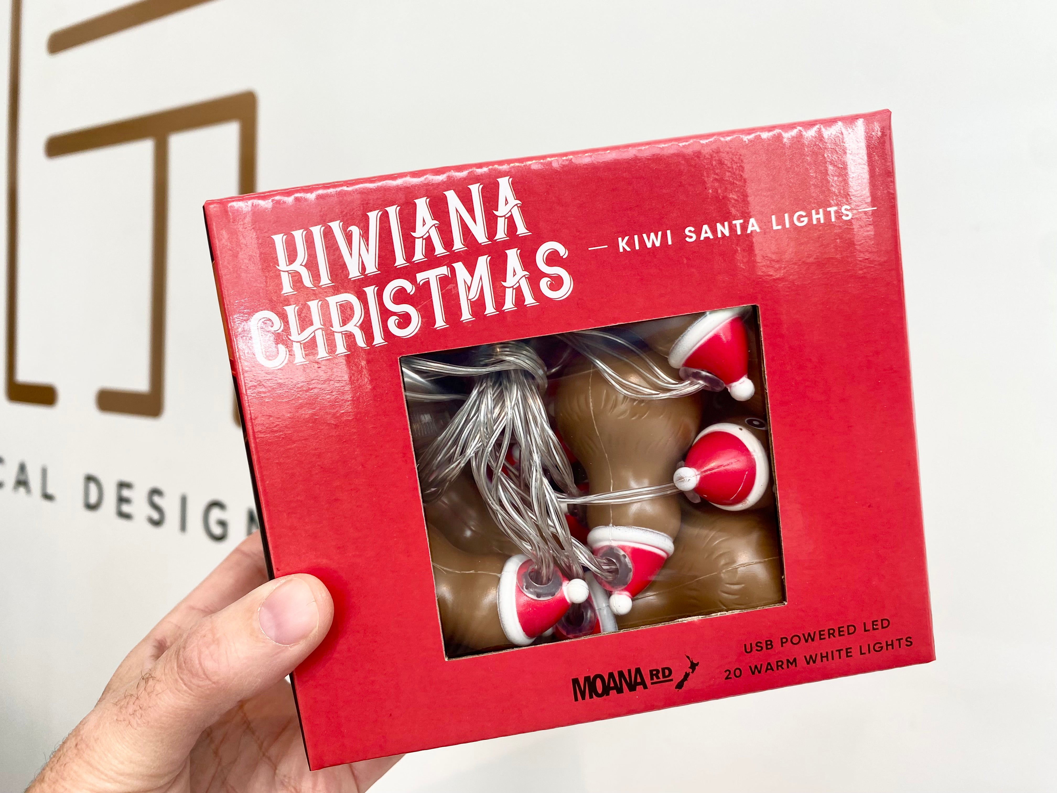 Kiwi Santa Fairy Lights – HAPA