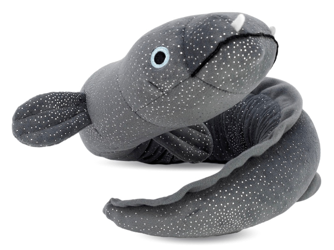 Ellie the Eel Soft Toy – HAPA